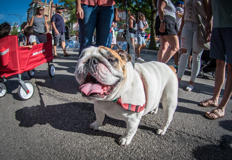 Retro on Roscoe 2019 – Roscoe Village Neighbors