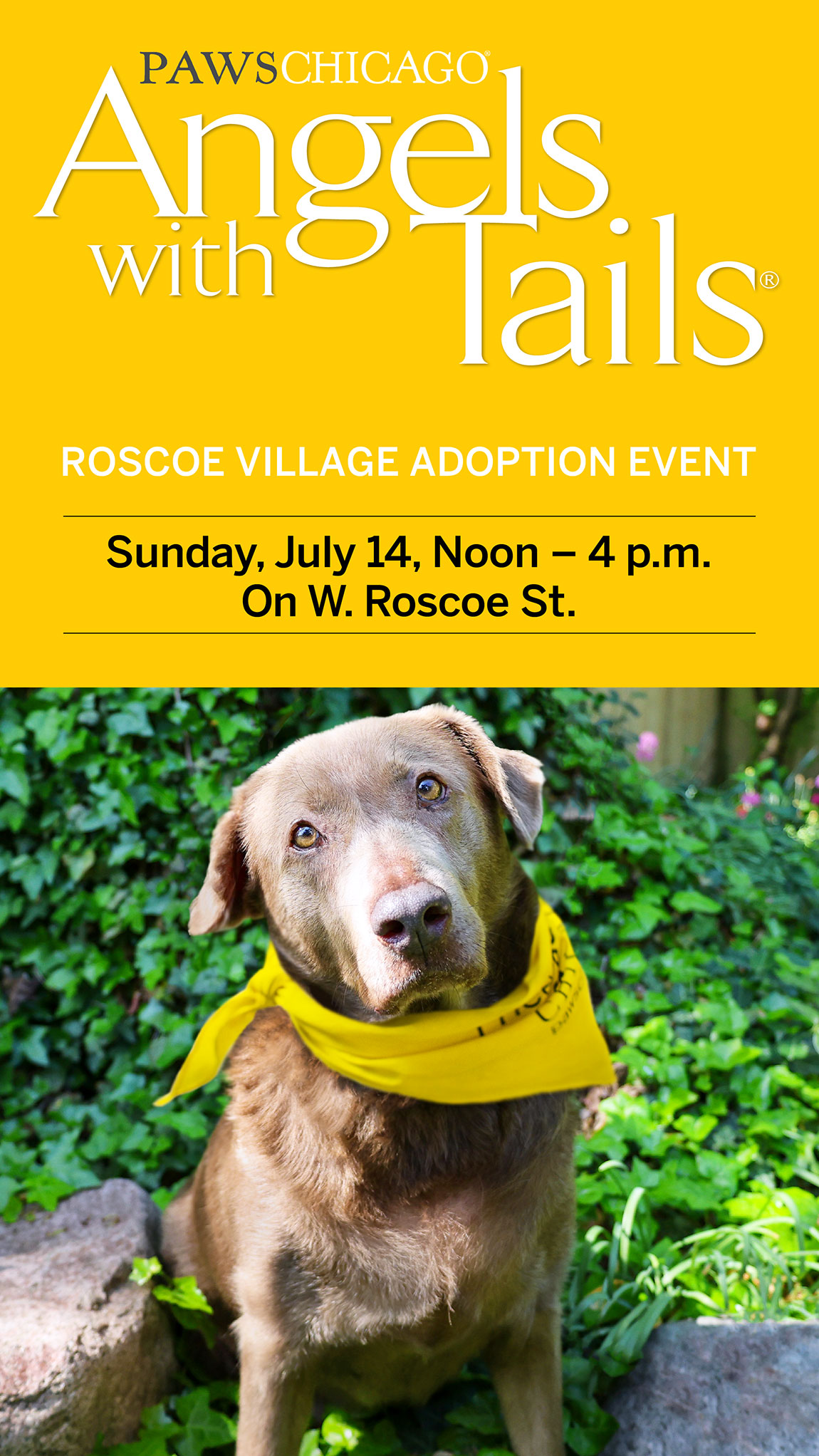 Roscoe Village Neighbors