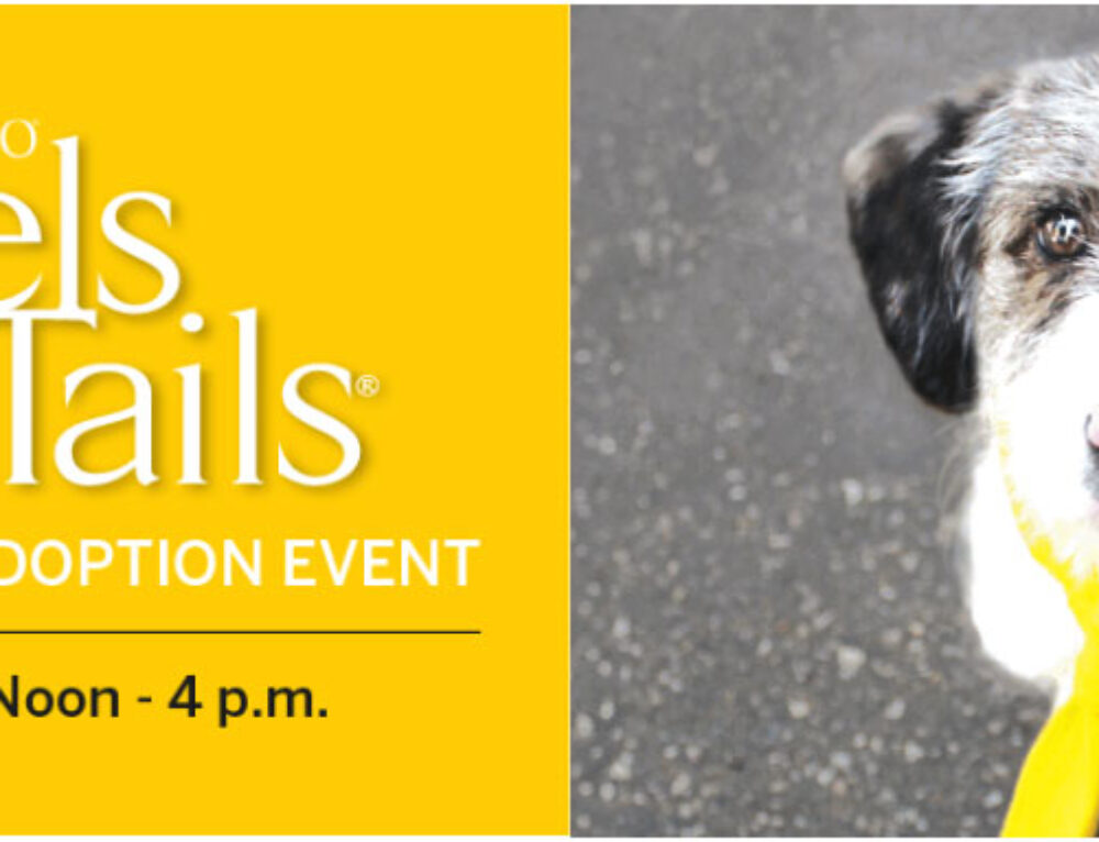 Join us for Retro on Roscoe – September 5-7, 2025 – Roscoe Village ...